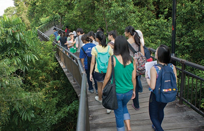 Get Involved - NUS Sustainability