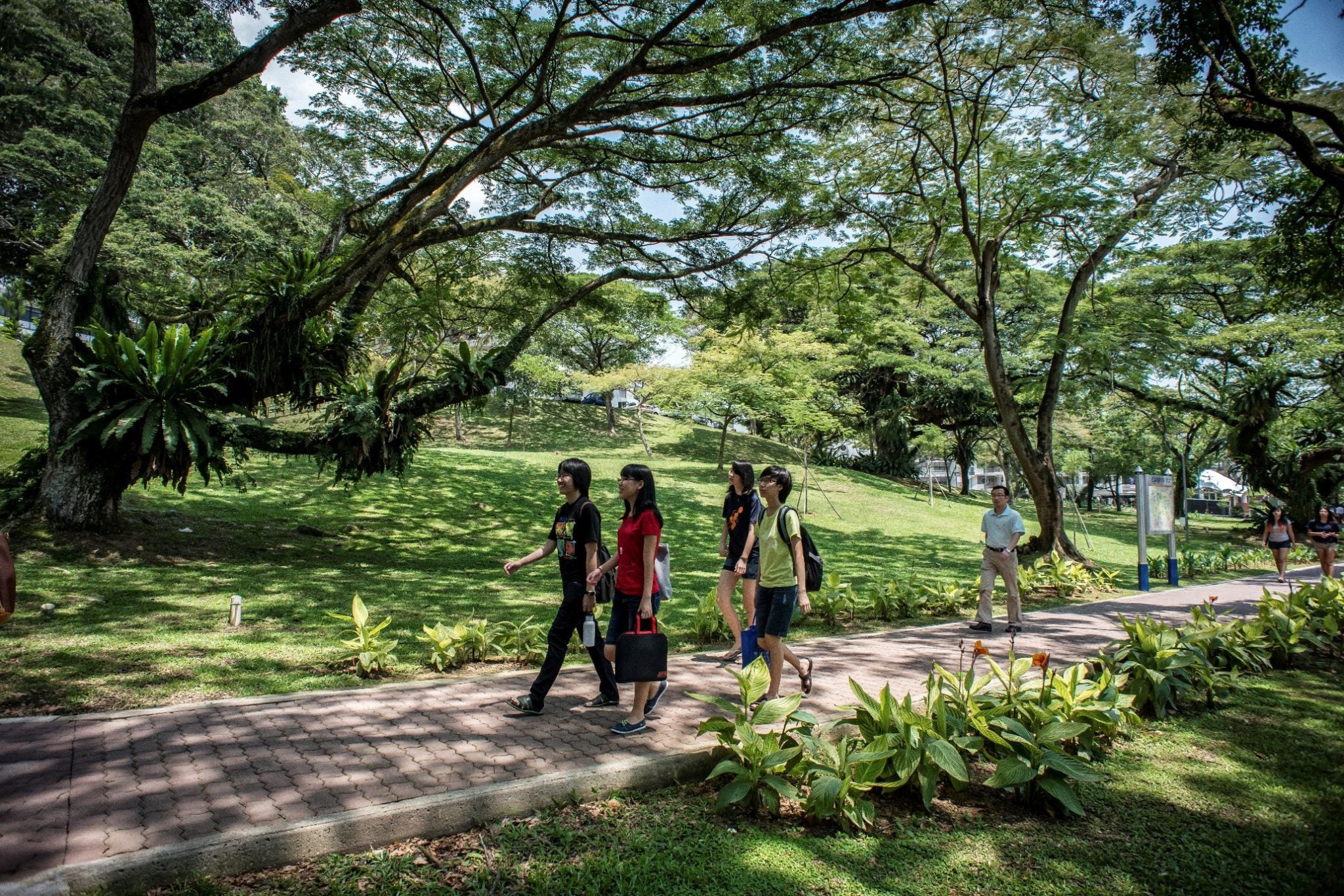 Commitment - NUS Sustainability