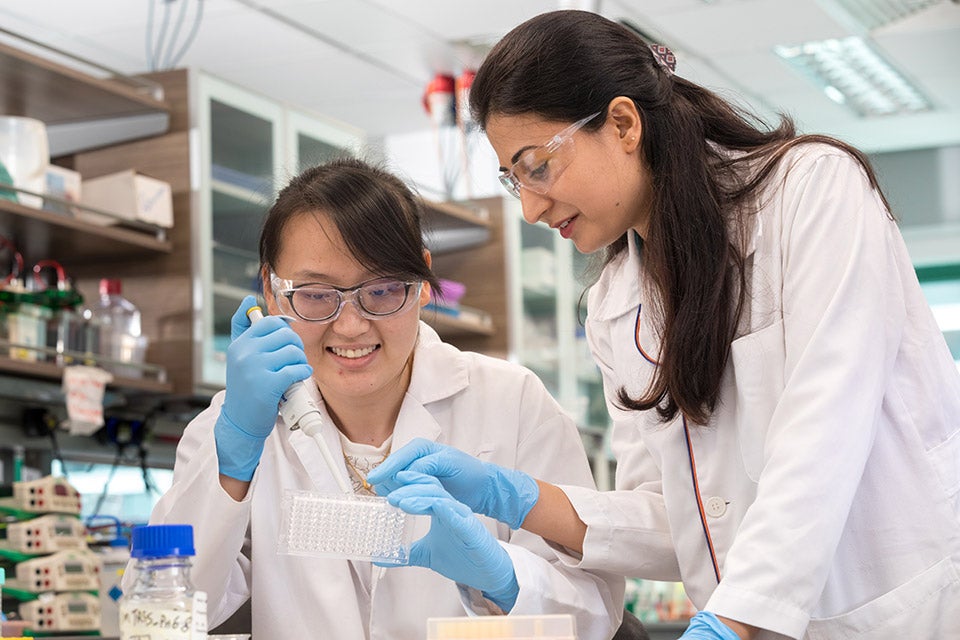 News - NUS Sustainability