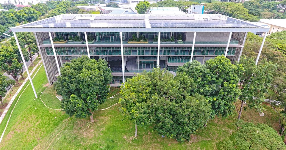 News - NUS Sustainability