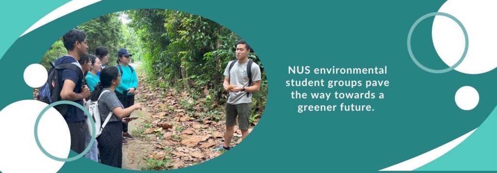 NUS Sustainability